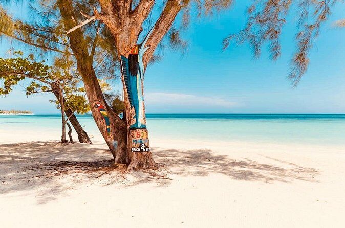 876 Beach Club Day Pass Plus Aqua Park From Falmouth Cruise Port - Value for Money and Overall Experience