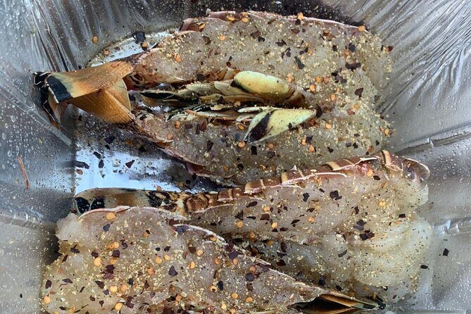 8HR Catch and Grill in Turks and Caicos Islands - Logistics and Practicalities