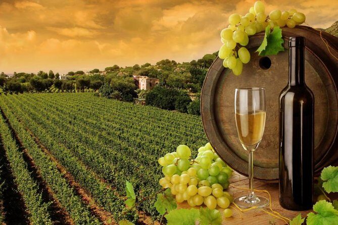 8hr-Private Wine Tour from SF & 1/2 Case of Californian wine. - An Introduction to the Tour Experience