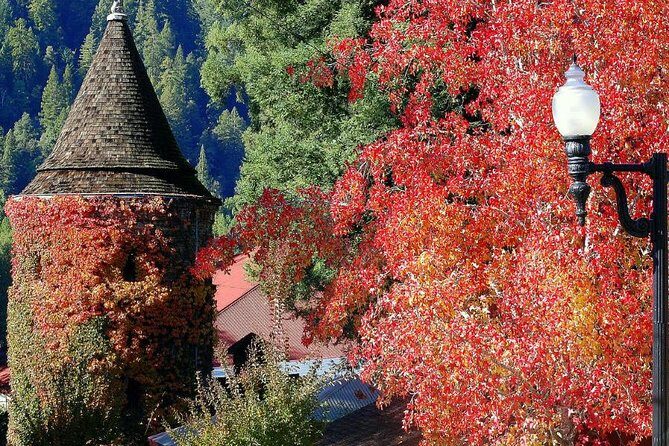 8hr-Private Wine Tour from SF & 1/2 Case of Californian wine. - The Itinerary: What to Expect