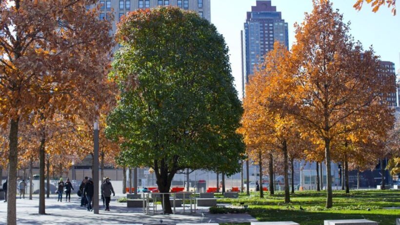 9/11 Memorial Tour + Museum and One World Observatory Option - FAQ