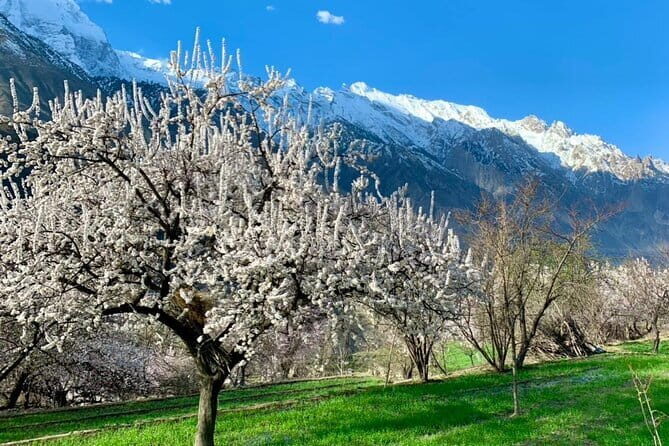 9-Day Package Tour Colors of Hunza Valley - Key Points