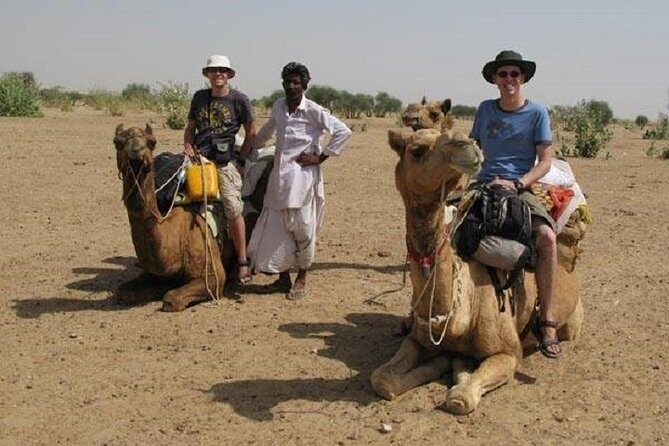 9-Day Private Safari Tour of Rajasthan Sum and Khuri Desert - FAQ