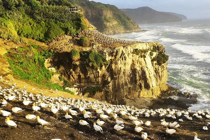 9 Day South to North Island NZ Private Tour from Queenstown - What Makes This Tour Stand Out?