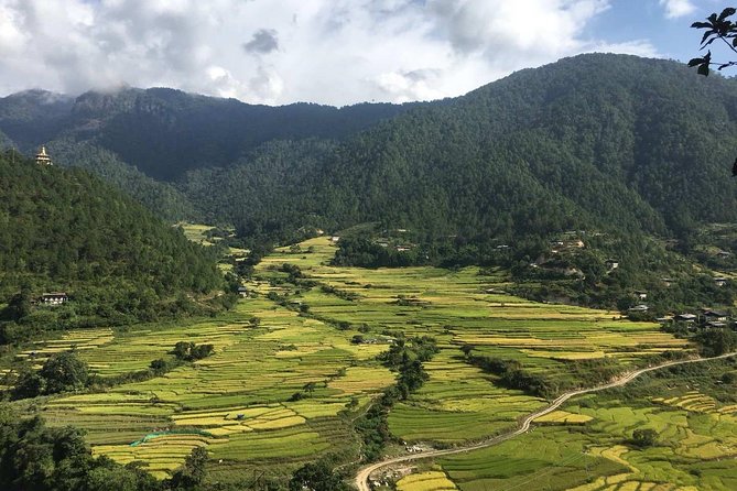 9 Days Authentic Bhutan Tour by Local Experts - Final Thoughts