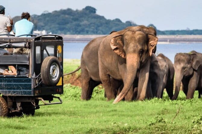 9 Days Guided Tour Through Sri Lanka - A Closer Look at the Itinerary