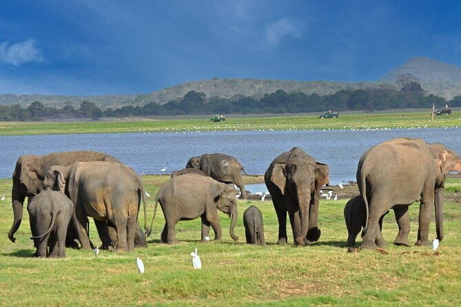 9 Days Private Vehicle & Driver Explore SriLanka By Your Own Plan - A Thorough Look at the Itinerary