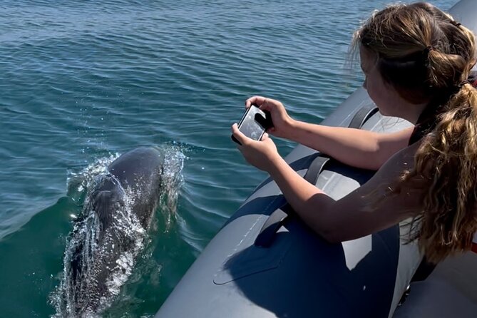 90 Minute Coastal Explorer in Torquay - Exploring the English Riviera Coastline