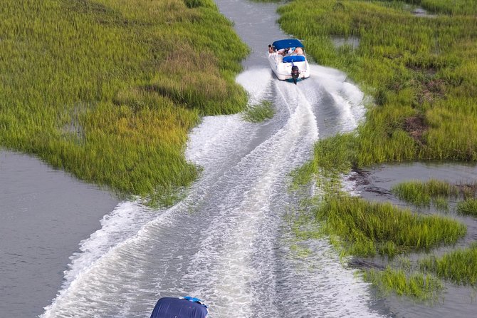 90-Minute Dolphin and Nature Tour of Hilton Head - Practical Tips for Travelers