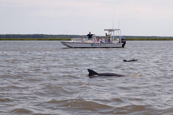90-Minute Dolphin and Nature Tour of Hilton Head - FAQ