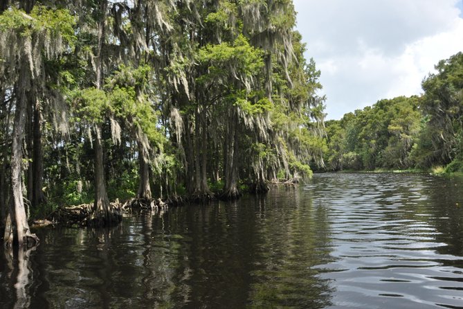 90 minute Everglades Airboat Tour near Orlando Florida - Who Should Consider This Tour?