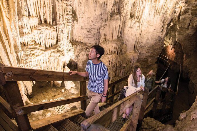 90-Minute Guided Ruakuri Cave Tour Waitomo - What Makes This Tour Stand Out?