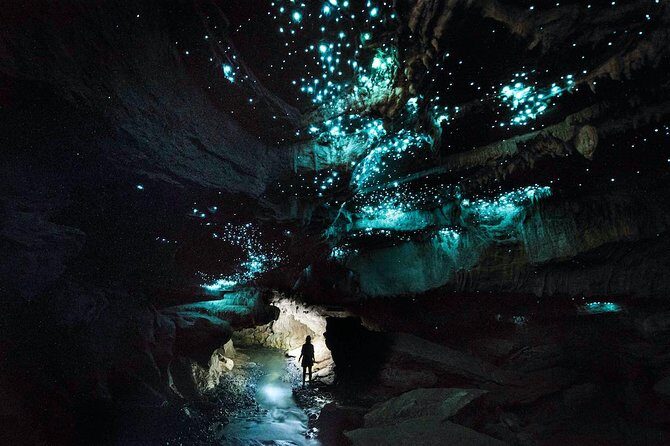 90-Minute Guided Ruakuri Cave Tour Waitomo - The Reviews Speak Volumes