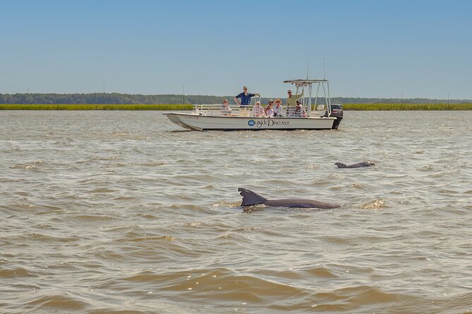 90 Minute Hilton Head Dolphin and Nature Cruise - Meeting and Pickup Information