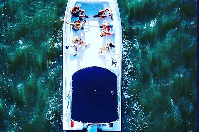 90 Minute Hilton Head Dolphin Tour - About the Tour Operator