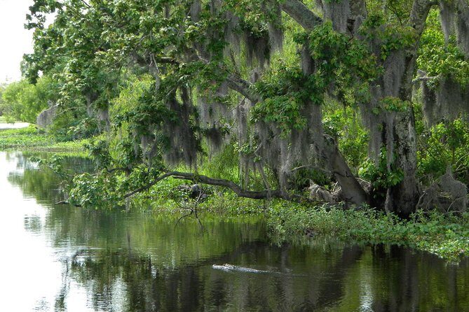 90-Minute Jean Lafitte Swamp and Bayou Tour with Transportation - FAQ