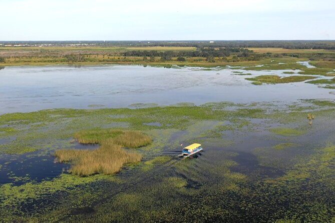 90 Minute Pontoon Cruise in Florida - Key Points