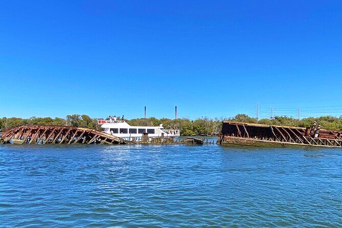 90 Minute Port River Dolphin & Ships Graveyard Cruise - Key Points