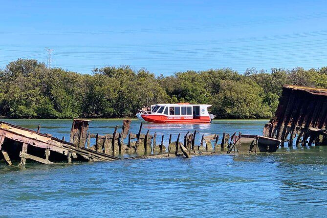 90 Minute Port River Dolphin & Ships Graveyard Cruise - An In-Depth Look at the Experience