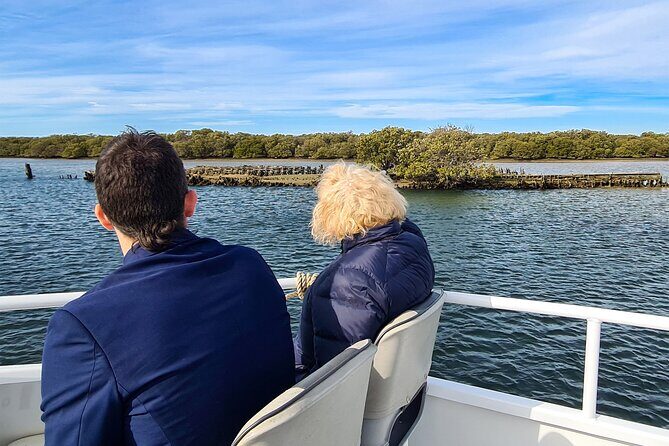 90 Minute Port River Dolphin & Ships Graveyard Cruise - Who Will Love This Tour?