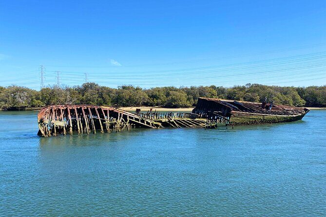 90 Minute Port River Dolphin & Ships Graveyard Cruise - Final Thoughts