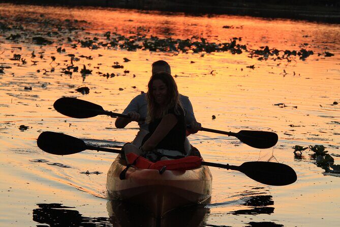 90-Minute Sunset paddle at Secret Lake Guided Kayak Tour in Casselberry - An In-Depth Look at the Sunset Paddle Experience