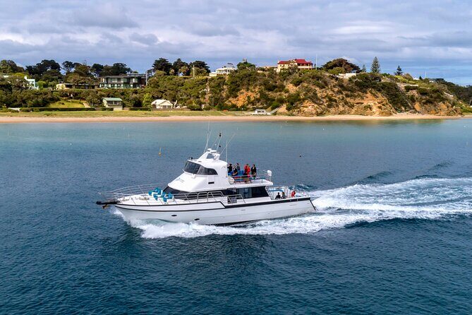 90 minute wildlife and scenic cruise - Authentic Reviews and Insights