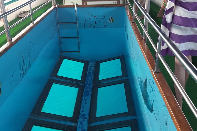 90-Minutes Glass Bottom Trip With Quick Dip - Marine Life Observations