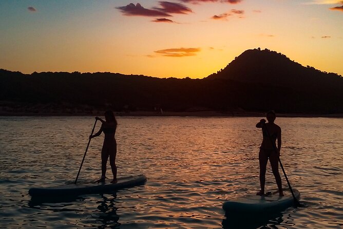 90 Stand up Paddle Tour in a Small Group in Cala Ratjada - What to Expect