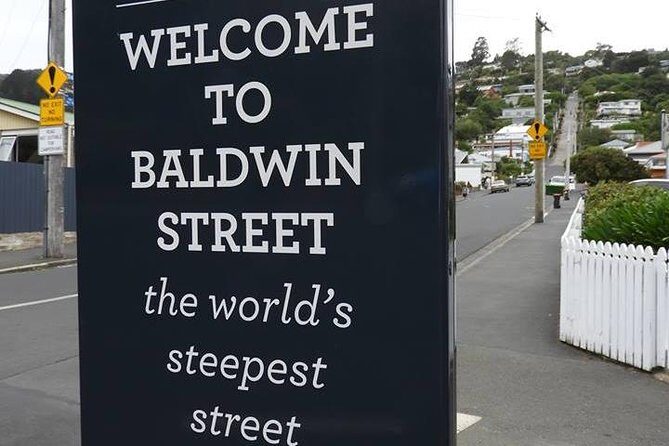 A 2 hour Small Group Dunedin City Highlights Tour - A Concise, Authentic Look at Dunedin’s Highlights in 2 Hours