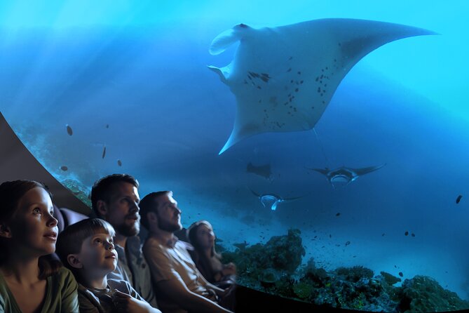 A 360° Immersive Ocean Movie Experience (Catalina Island) - Key Points