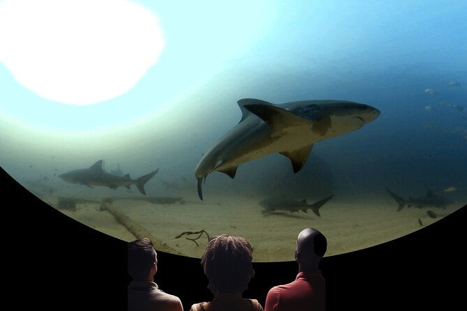 A 360° Immersive Ocean Movie Experience (Catalina Island) - What Reviewers Say: Authentic Perspectives