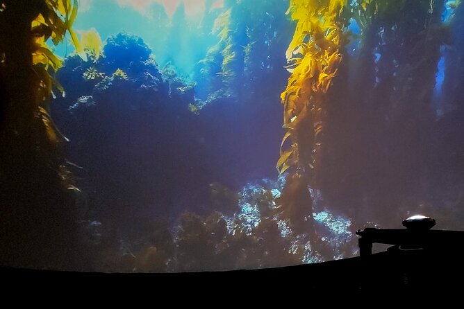 A 360° Immersive Ocean Movie Experience (Catalina Island) - The Sum Up: Who Should Consider This Experience?