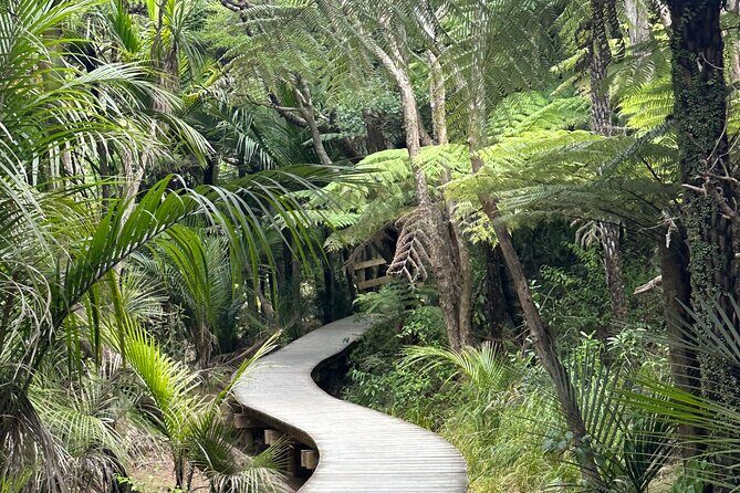 A 5 Hour Private City Highlights: Unveiling Auckland's Treasures - Frequently Asked Questions