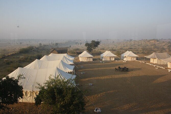 A Camel Safari Through The Thar Desert Sand Dunes Near Bikaner - Who Should Consider This Tour?