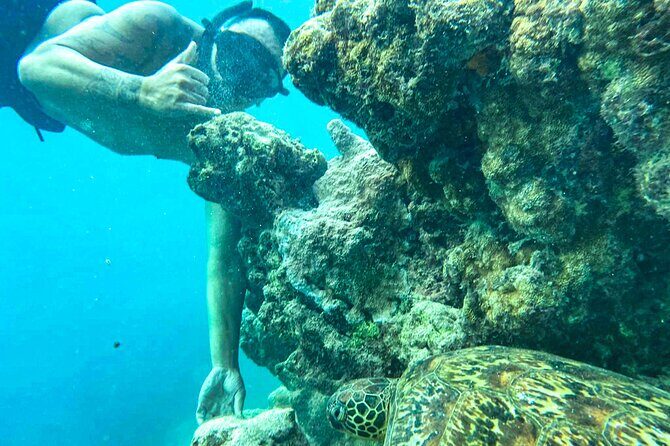A Cook Islands Turtle Tour - small groups, premium experience - FAQ