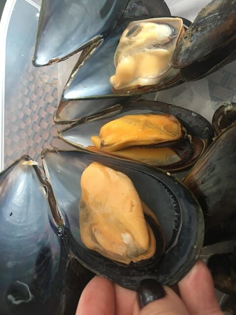 A Coruña: Local Market Shopping and Cooking Workshop - Wrapping It Up