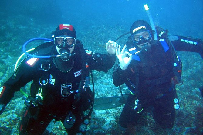 A day at the beach and diving - Key Points