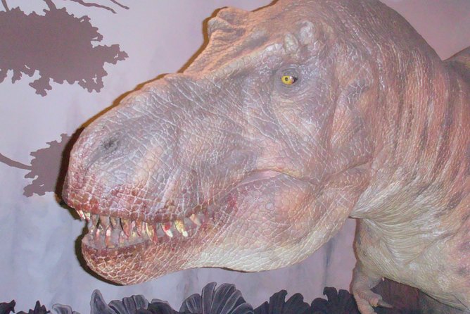 A Day at the Museum - Natural History Museum London - Final Thoughts: Is It Worth It?