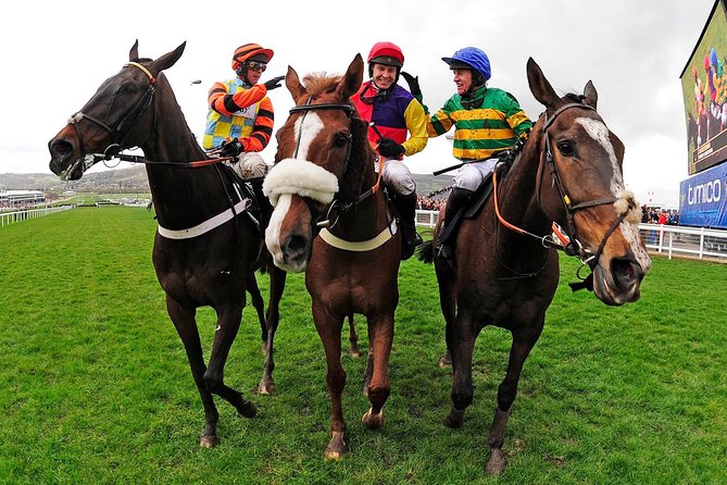 A Day At The Races & the Horse Lovers Tour - The Value of This Tour