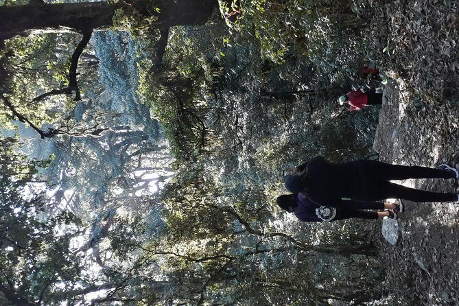 A day hike from Kathmandu to Bagadwaar - What to Keep in Mind