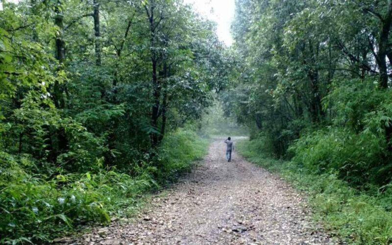 A day hiking from Kathmandu: Phulchowki Hill - The Details: What’s Included and How It All Fits