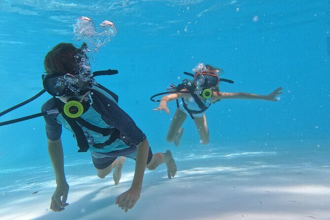 A Day in Paradise All In One Punta Cana Experience - The Group and Logistics