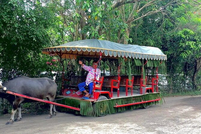 A Day in Paradise at Villa Escudero Coconut Plantation Adventure - Introduction