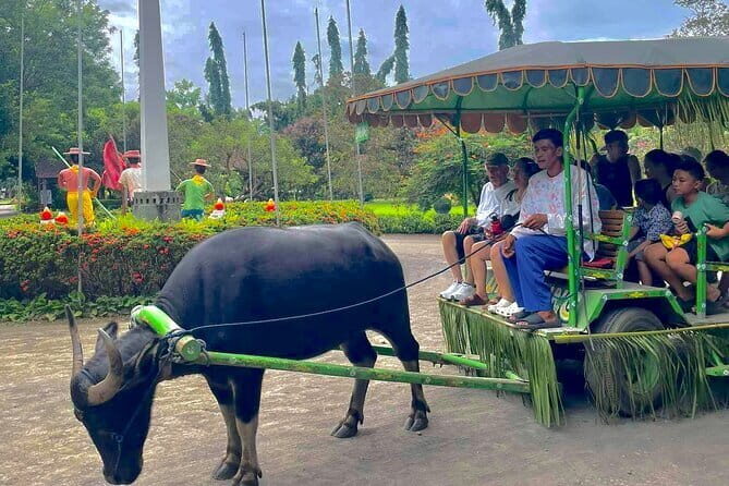 A Day in Paradise at Villa Escudero Coconut Plantation Adventure - Detailed Review of the Experience