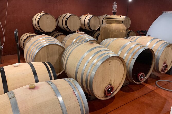 A day in Saint-Emilion in a small group (Electric Luxury Van) - FAQ