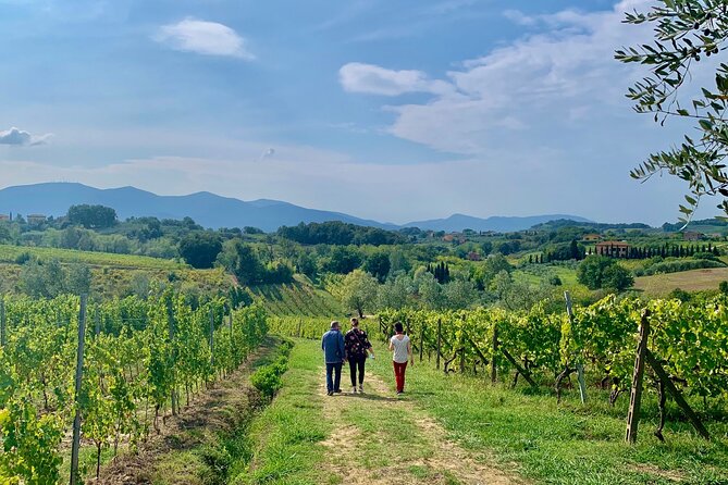 A Day in Tuscany & Medieval Towns - Experiencing Local Spots