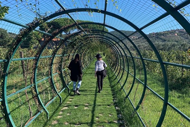 A Day in Tuscany & Medieval Towns - Lunch Reservation