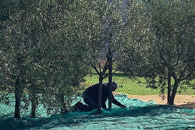 A Day in Tuscany & Medieval Towns - Frequently Asked Questions