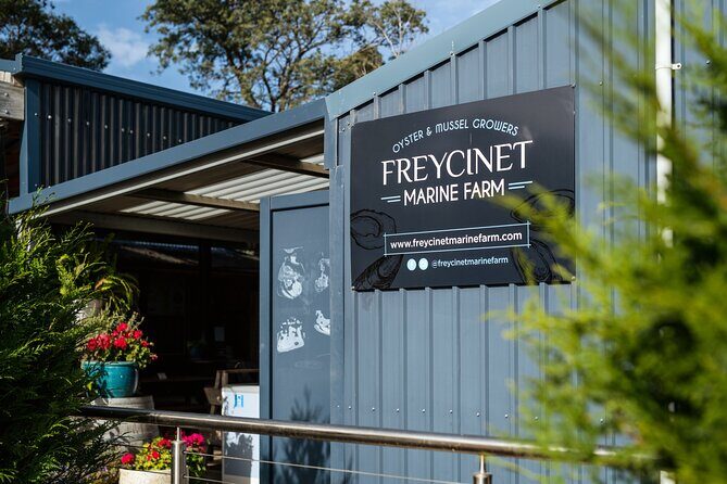 A Day in Wineglass Bay - Launceston to Hobart - Seafood and Local Delights at Freycinet Marine Farm
